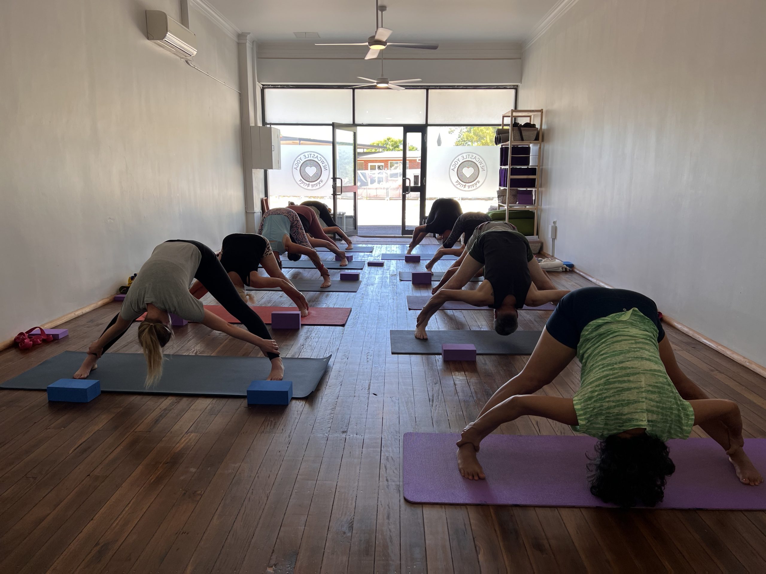 New Student | Newcastle Yoga
